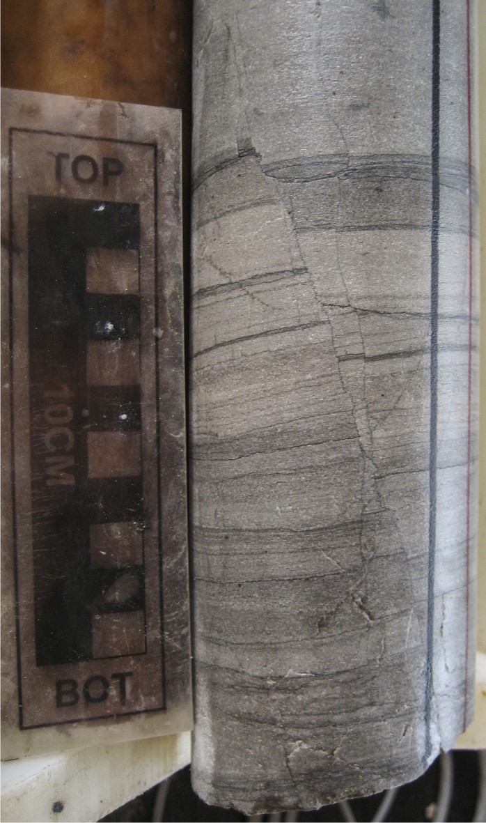 Corias: Photos of Core features